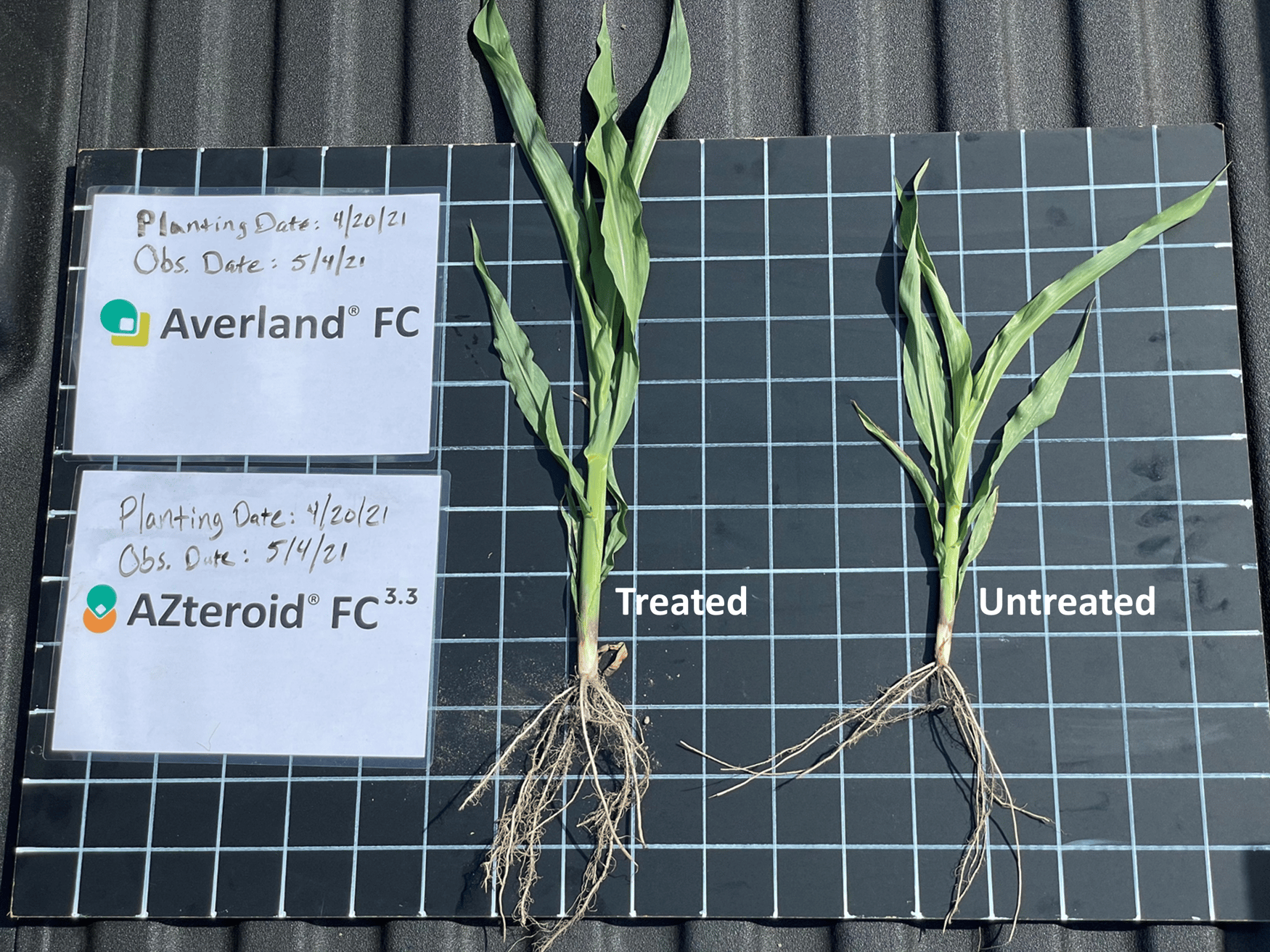 Top 5 Reasons to use In-furrow Fertilizer