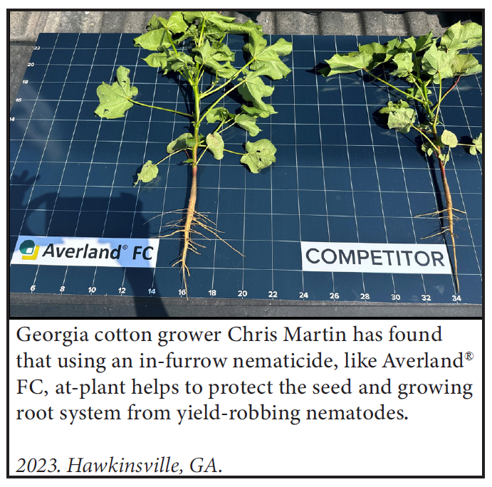 The Invisible Cotton Yield Robber