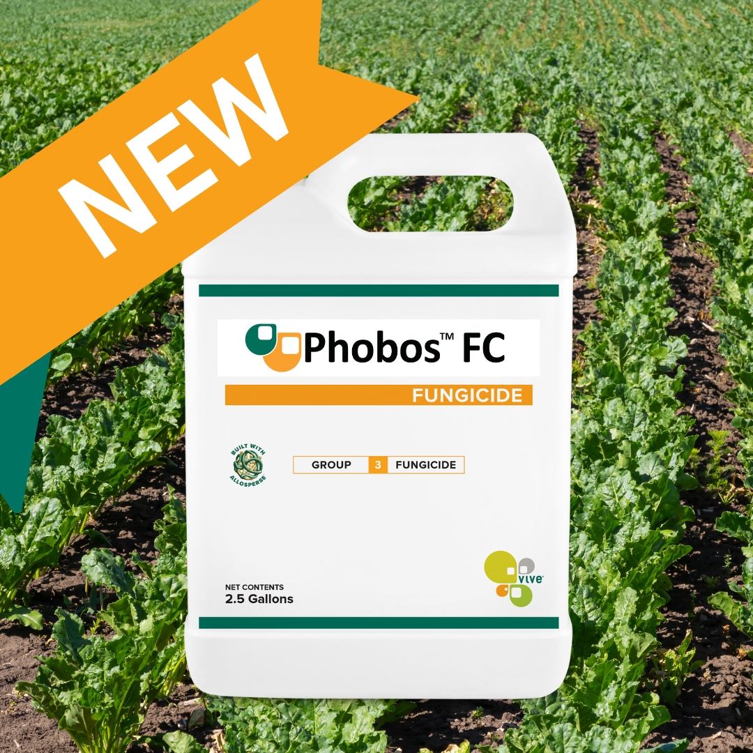 Vive Launches Phobos FC Fungicide for Sugarbeets