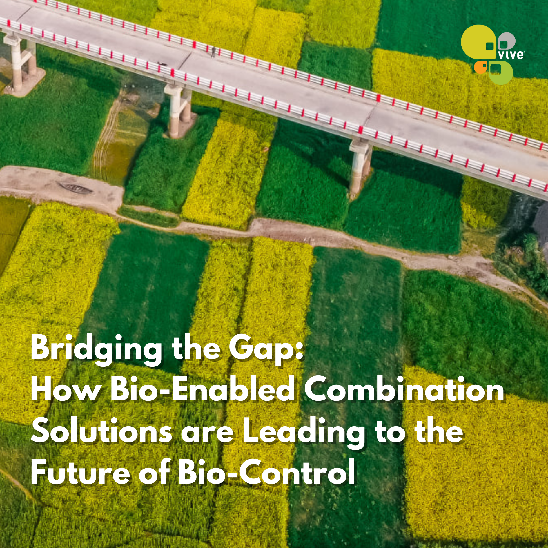 Bridging the Gap: How Bio-Enabled Combination Solutions are Leading to ...